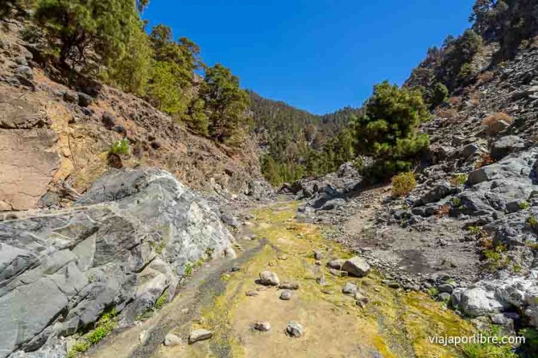 Ruta en la Caldera de Taburiente (Mirador de los Brecitos) | Viaja por ...