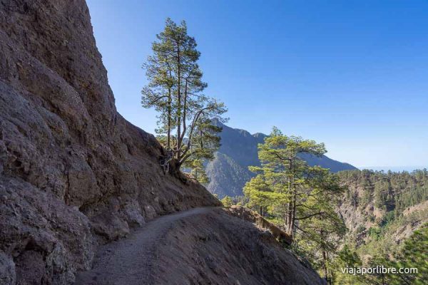 Ruta en la Caldera de Taburiente (Mirador de los Brecitos) | Viaja por ...