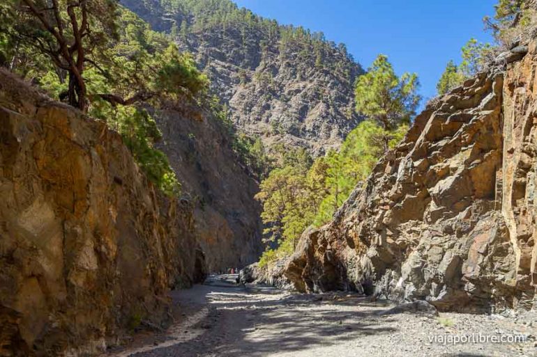 Ruta en la Caldera de Taburiente (Mirador de los Brecitos) | Viaja por ...