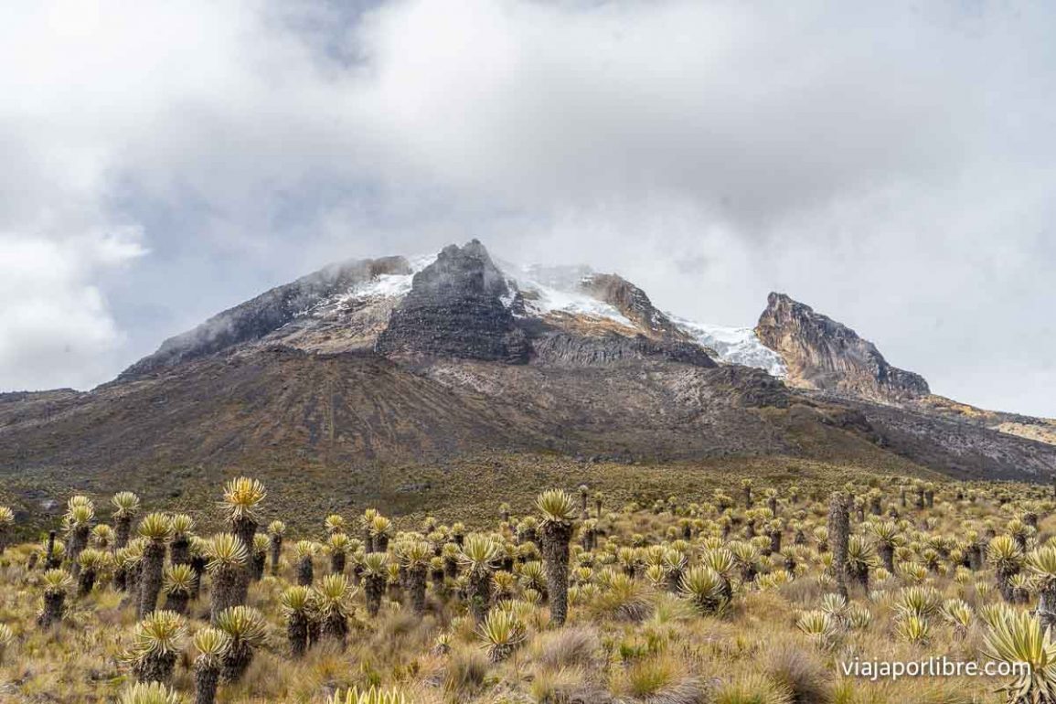 Ruta al Nevado del Tolima desde Palomar (Ascensión y cumbre)