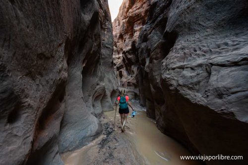 Wire Pass trailhead. Más y mejor que Antelope Canyon